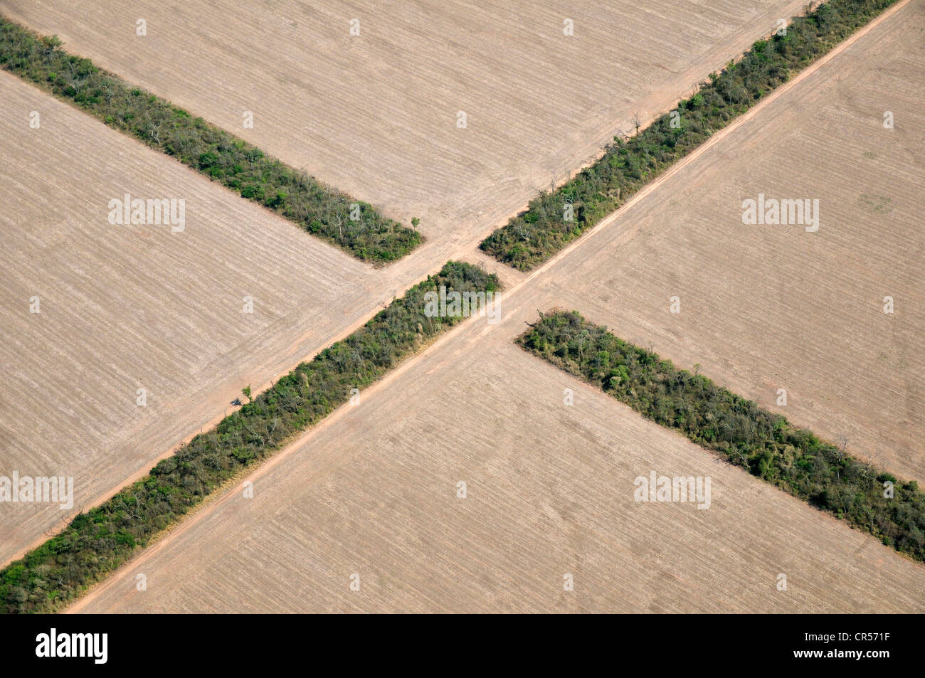 Aerial view from a Cessna aircraft, cross formed by narrow strips of ...