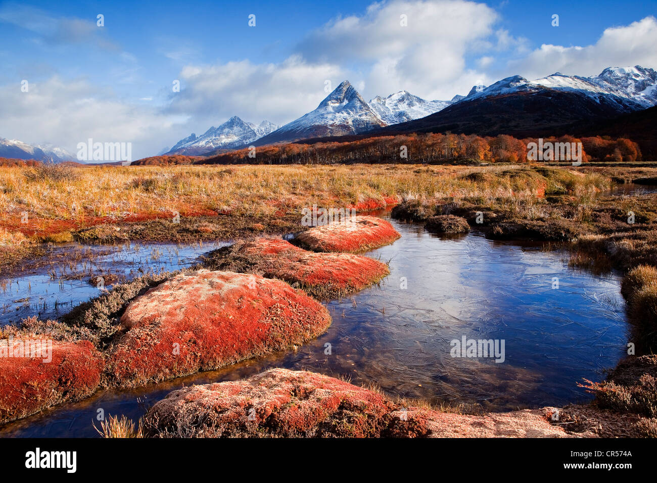 Tierra del Fuego, Argentina, South America Stock Photo - Alamy