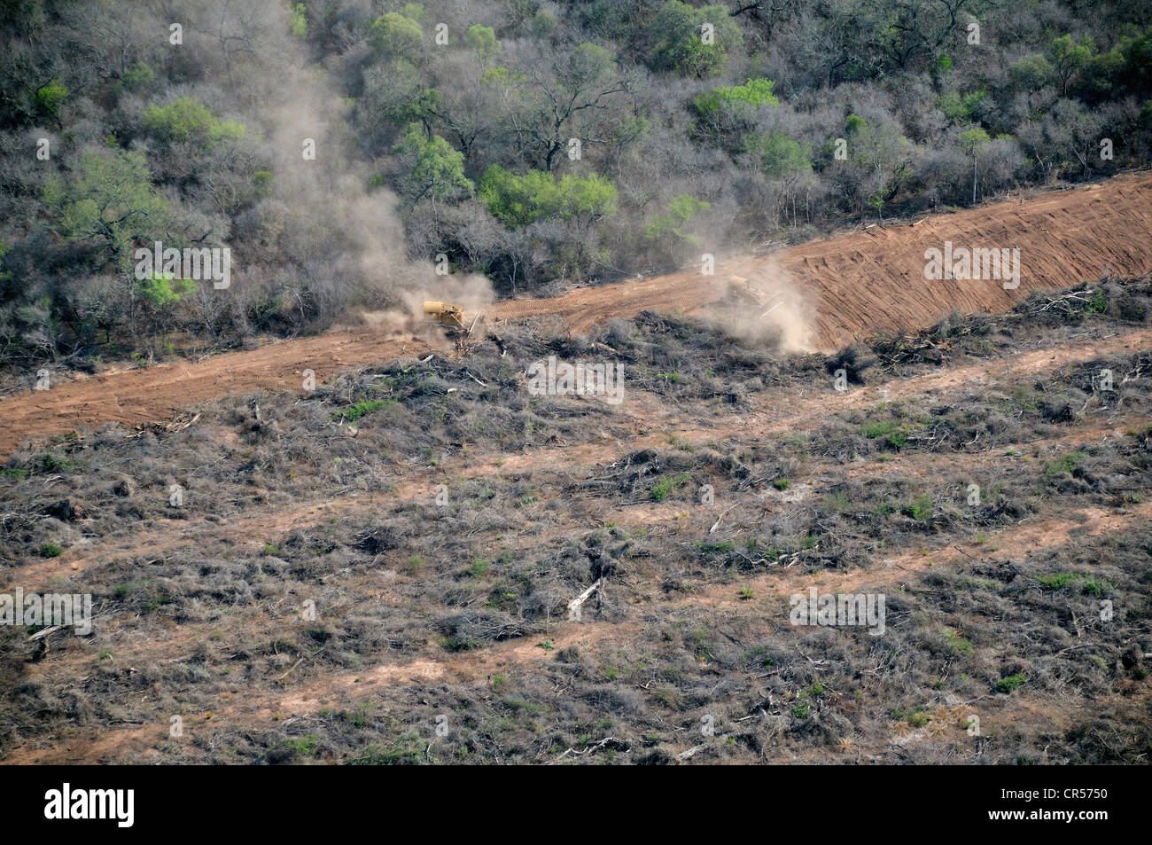 Aerial view from a Cessna aircraft, destroying a forest with bulldozers ...