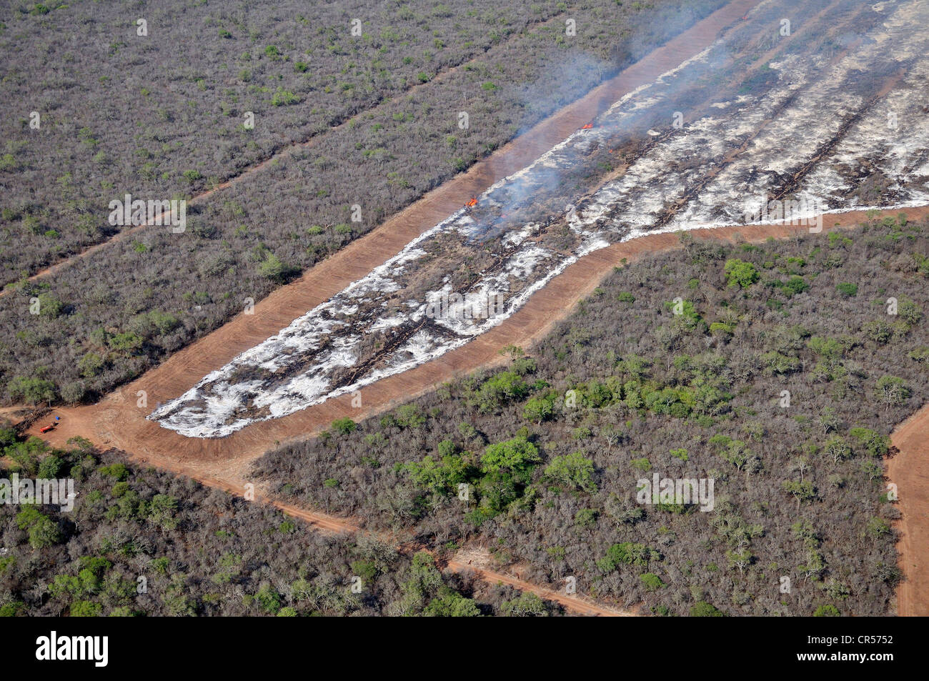 Burned Forest Birds Eye View