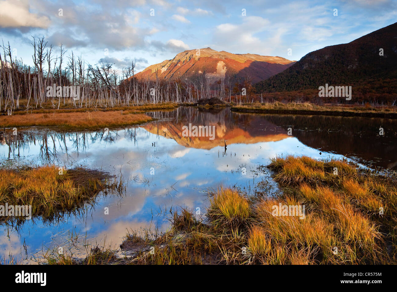 Tierra del Fuego, Argentina, South America Stock Photo - Alamy