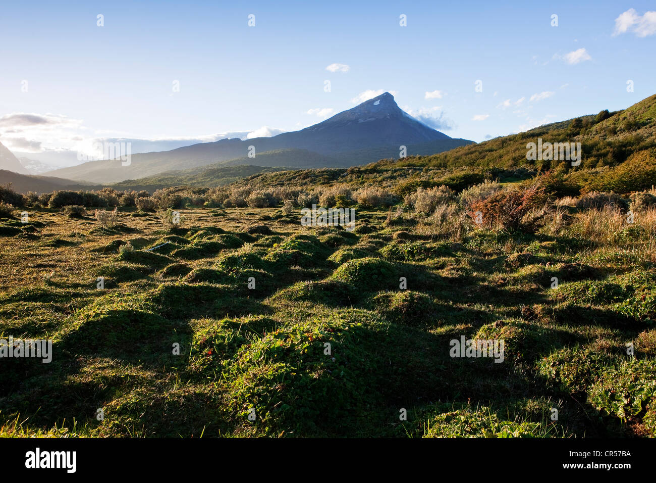 Tierra del Fuego, Argentina, South America Stock Photo - Alamy