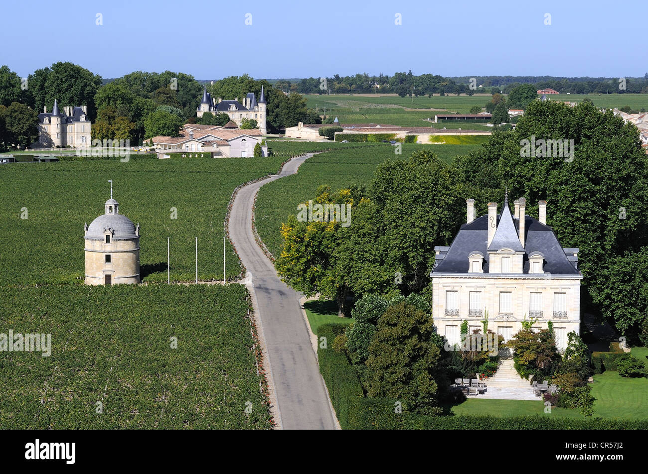 France, Gironde, Pauillac, Medoc region, chateau Latour where Premier ...