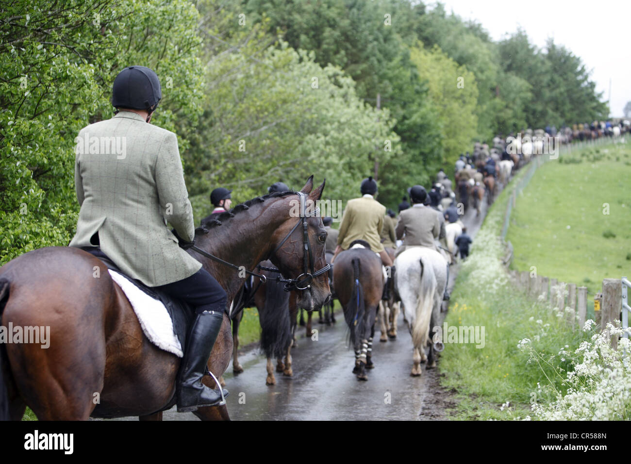 The Cornet's supporters ride to the Moor racecourse during Hawick ...