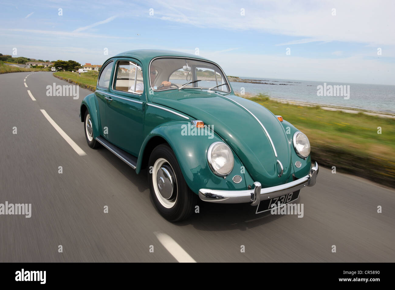 VW Beetle classic volkswagen car driving Stock Photo - Alamy