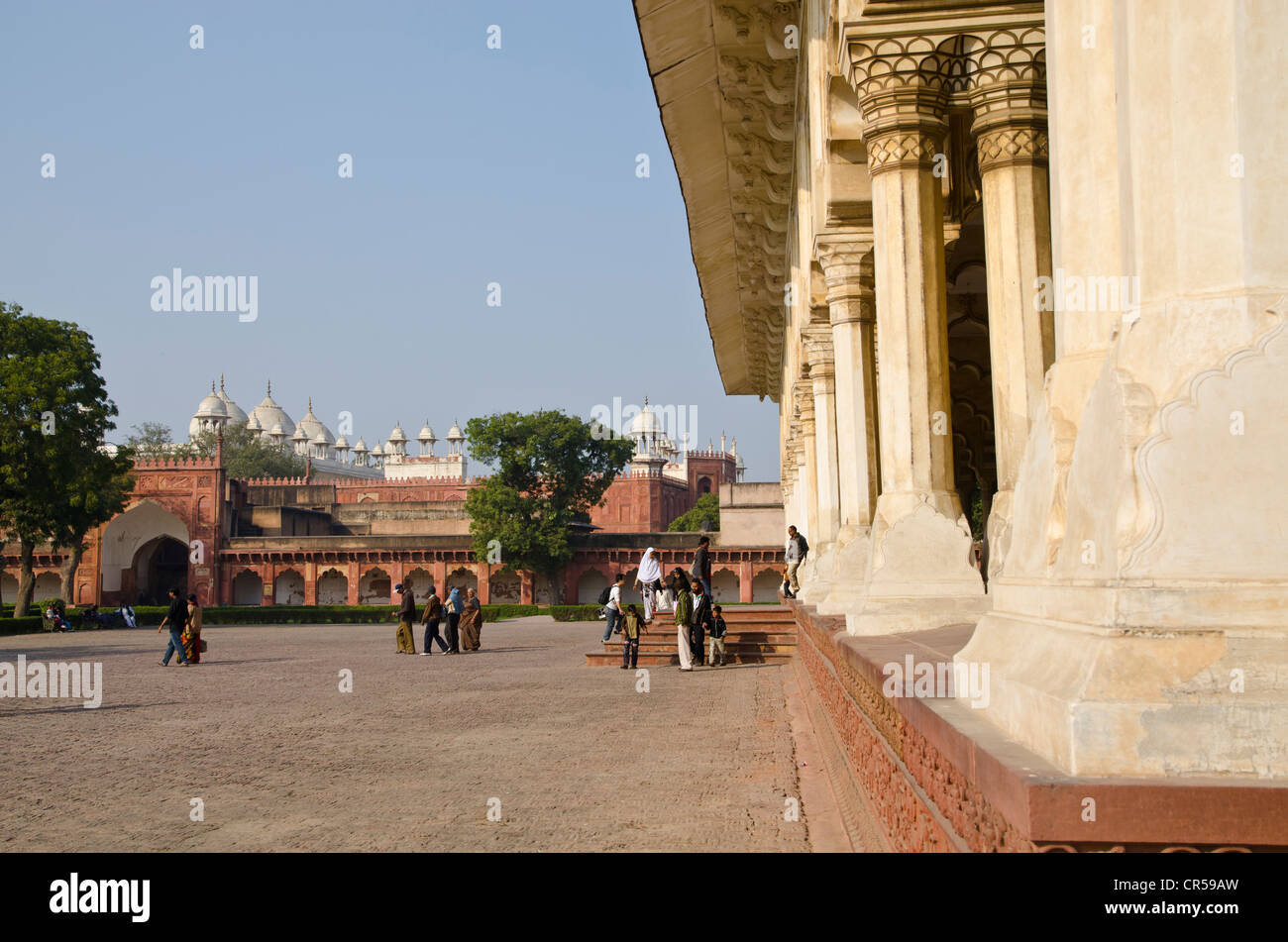 Detail of Agra Fort, Moti Mahal in the distance. Agra, Uttar Pradesh ...
