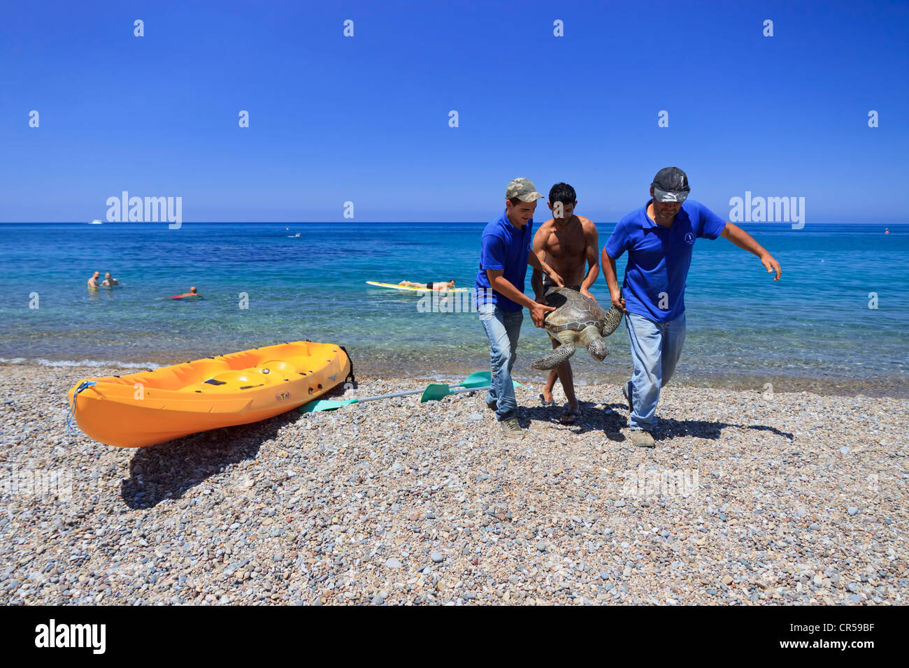 Stone carrying workers hi-res stock photography and images - Alamy