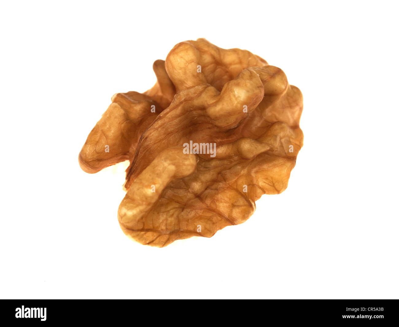 Single walnut hi-res stock photography and images - Alamy
