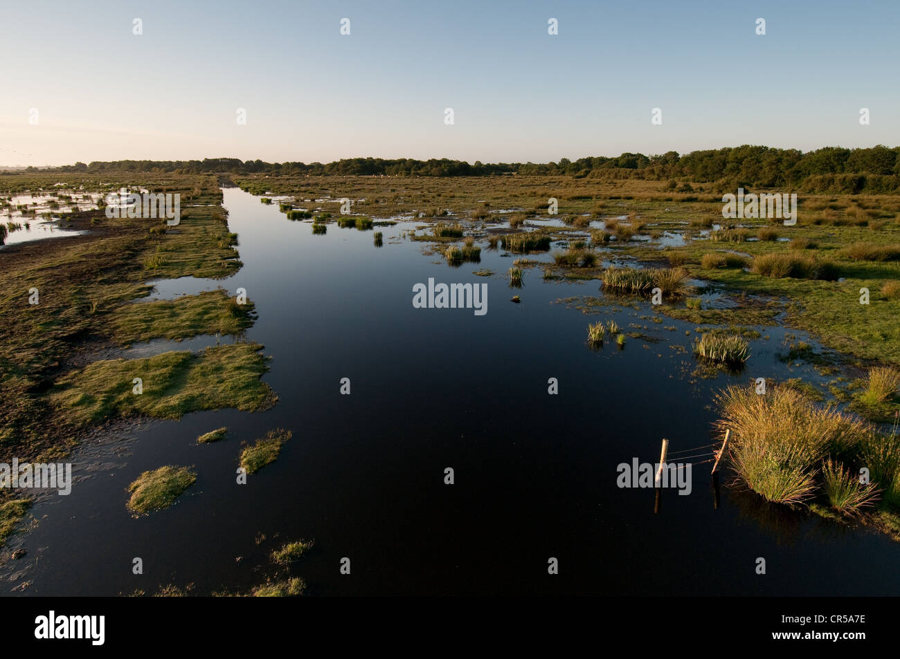 Briere regional natural park hi-res stock photography and images - Alamy