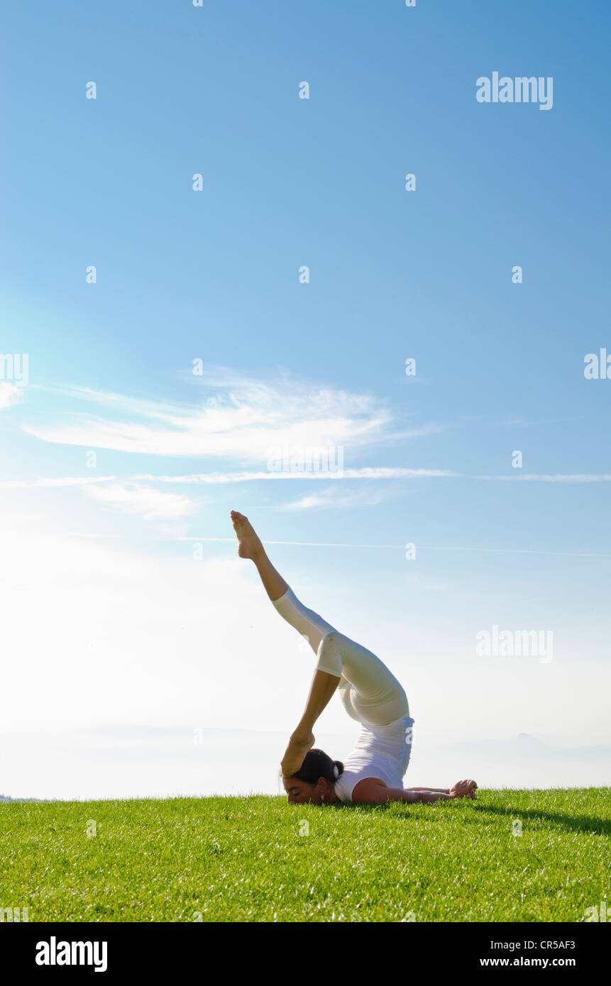 Full locust pose hi-res stock photography and images - Alamy