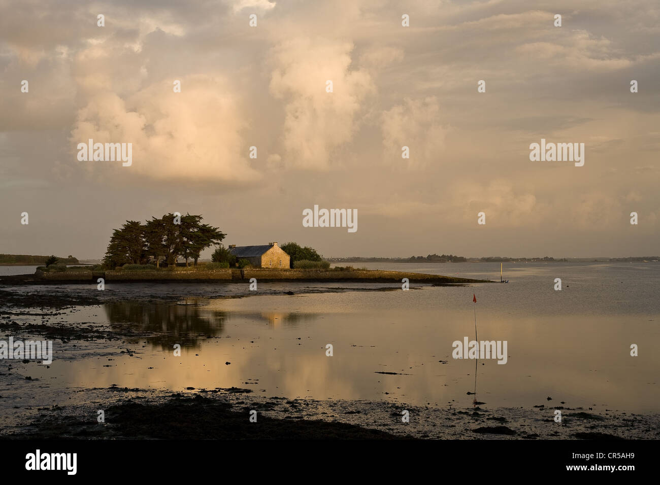 France, Morbihan, Gulf of Morbihan, Saint Armel, Quistinic Island Stock ...