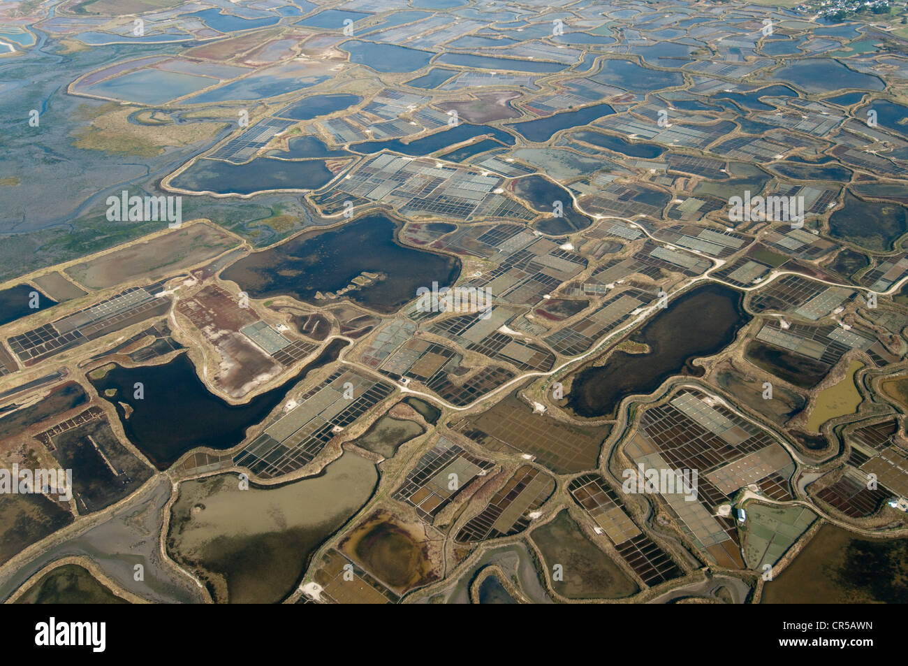 France, Loire Atlantique, Presqu'ile de Guerande (Guerande's Peninsula ...