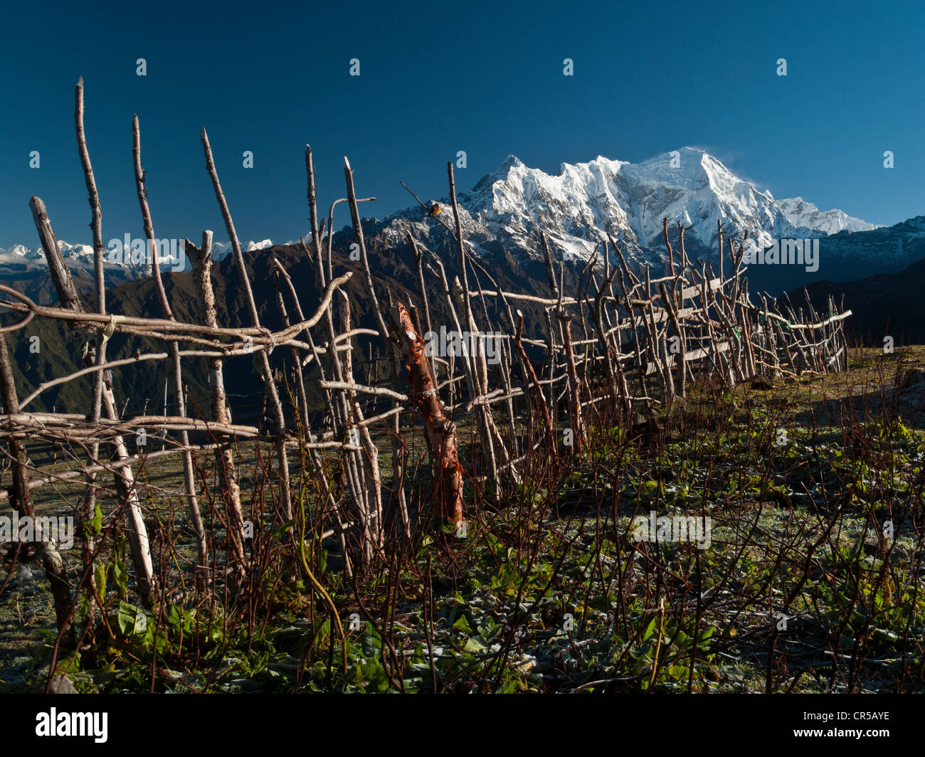 From the himalayas hi-res stock photography and images - Alamy