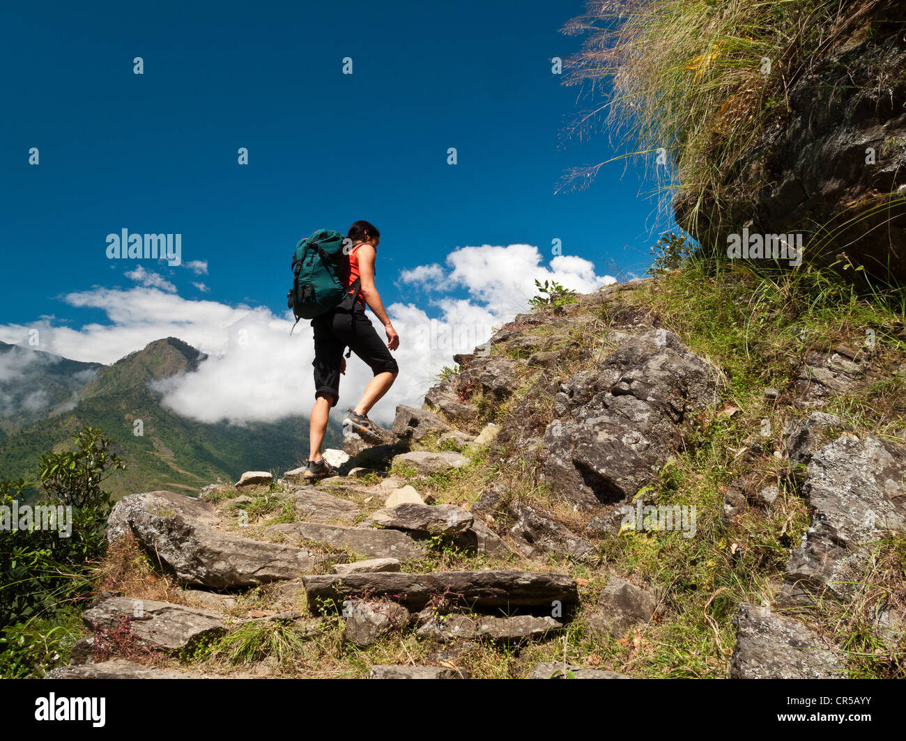 Trekking tourist walking from Dhunche towards Langtang Himal, Himalayas ...
