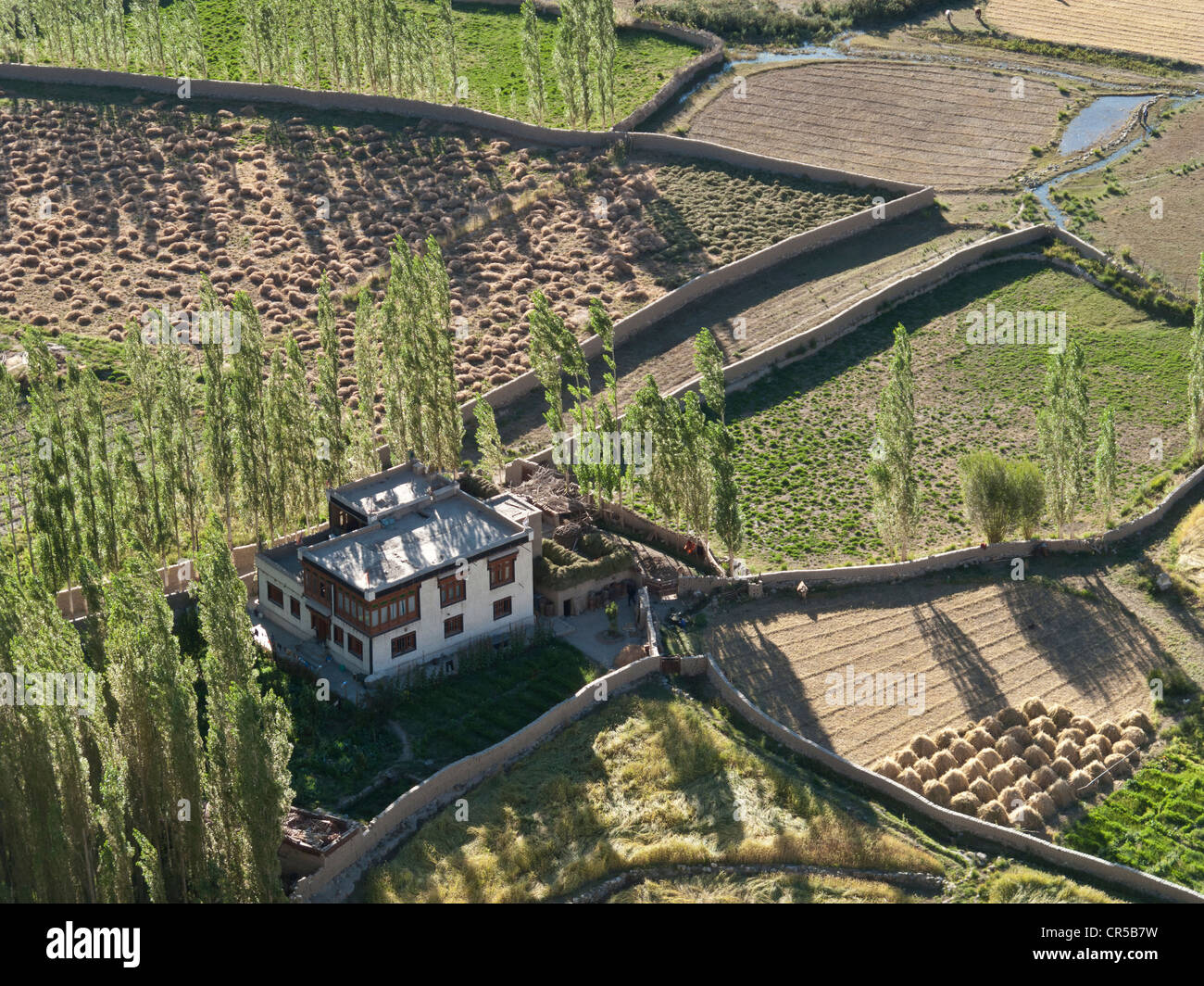 Irrigated farmland along the river Indus, as seen from the rooftop of ...