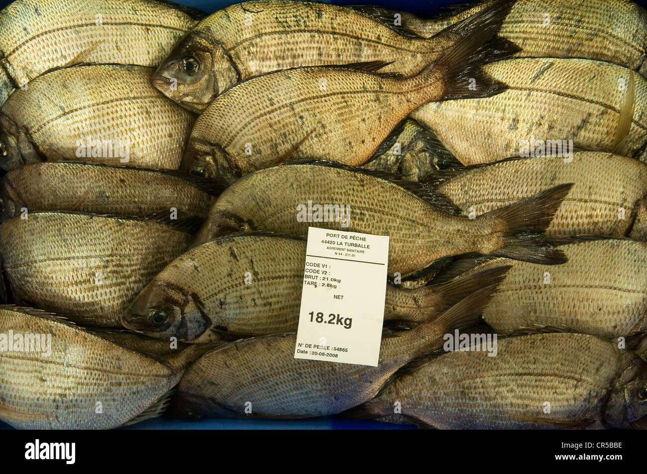 Loire atlantique fish hi-res stock photography and images - Alamy
