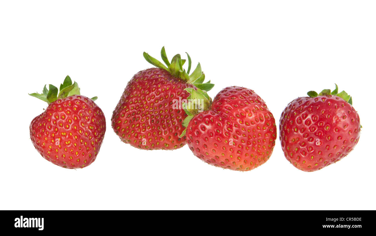 Group of Strawberries isolated on white Stock Photo - Alamy