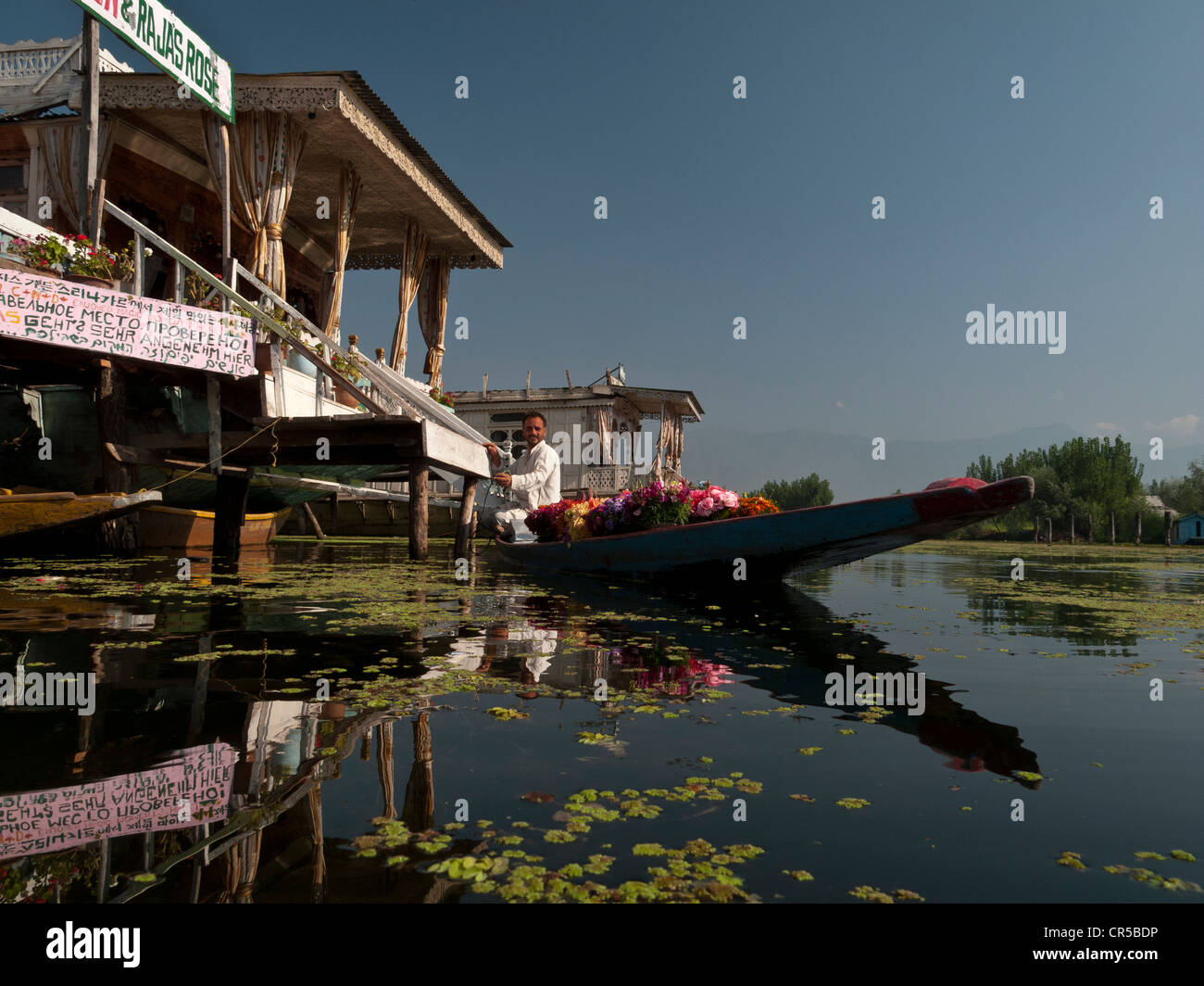 Flowers are sold from a Shikara, traditional boat on Dal Lake, Srinagar ...