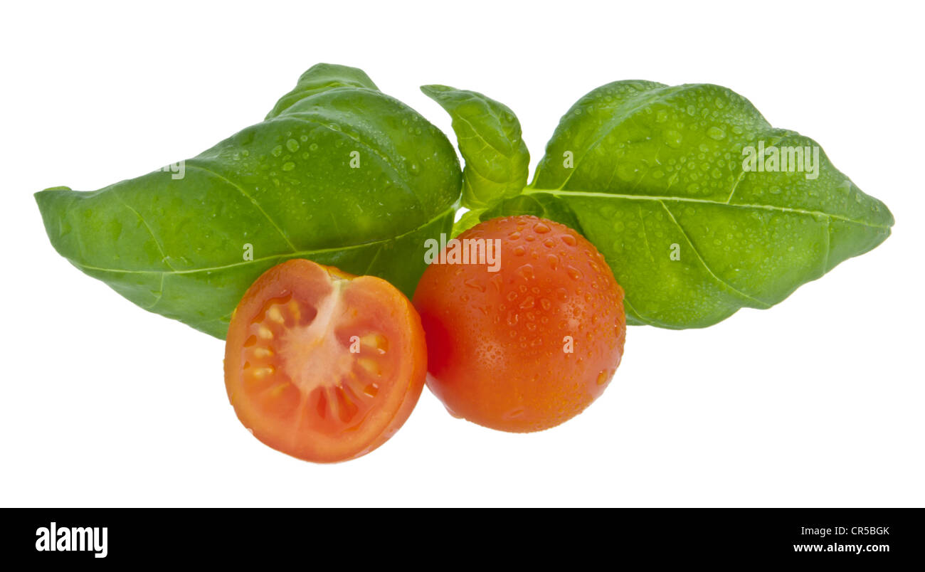 Basil with small tomato isolated on white background (with clipping ...