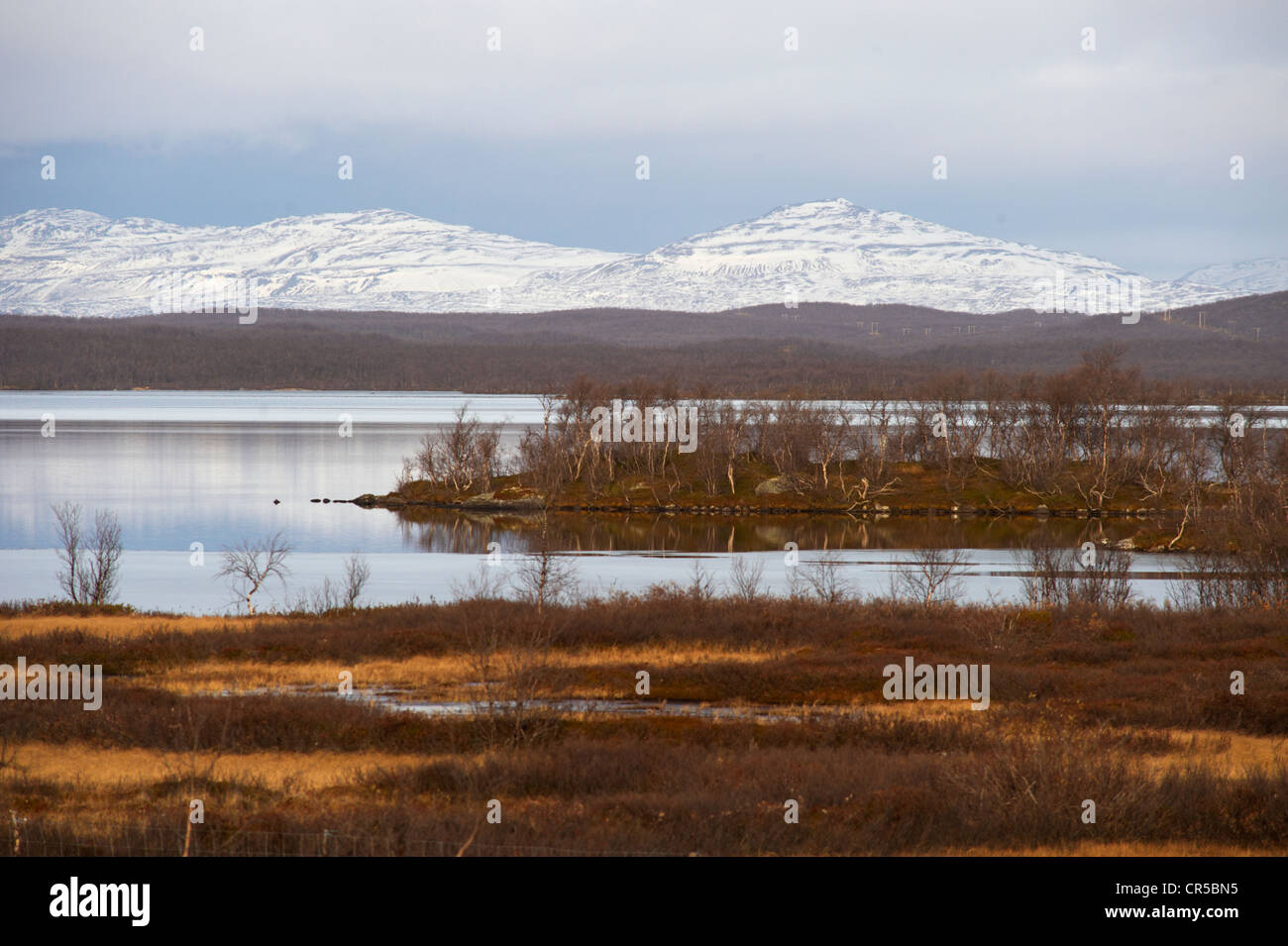 Norway, Lapland, Finnmark County, Karasjok, landscape between Karasjok ...