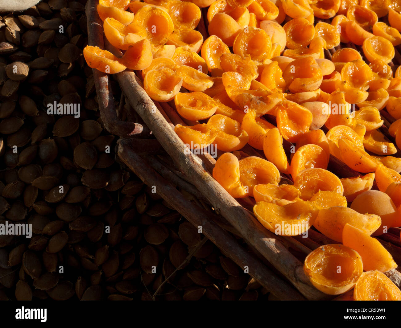 Dried apricots, in the area of Karimabad, North West Frontier, Pakistan ...