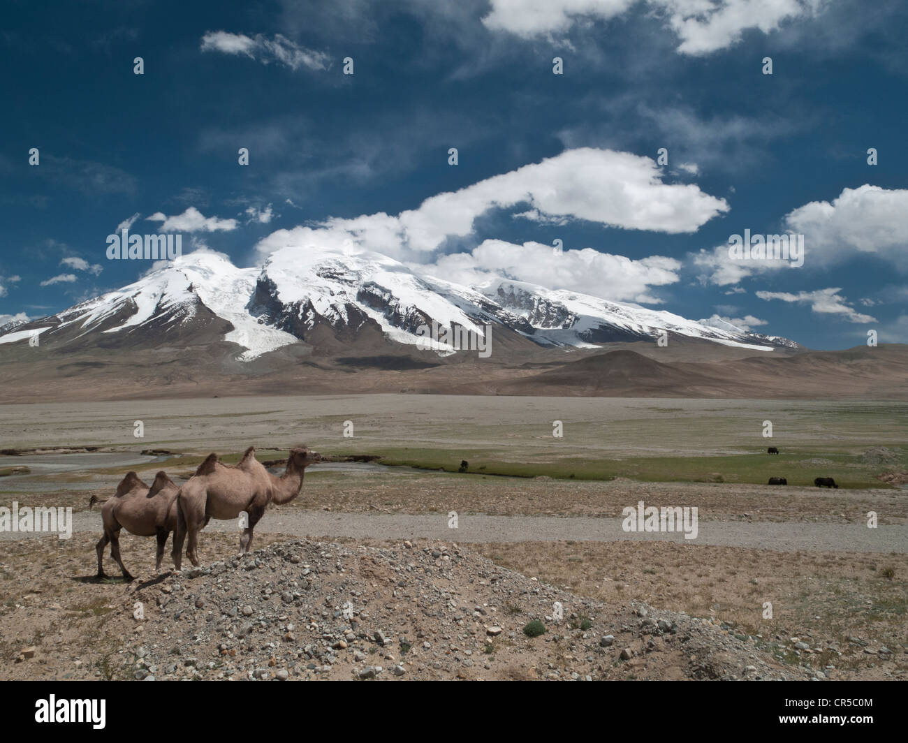 Camels toe hi-res stock photography and images - Alamy