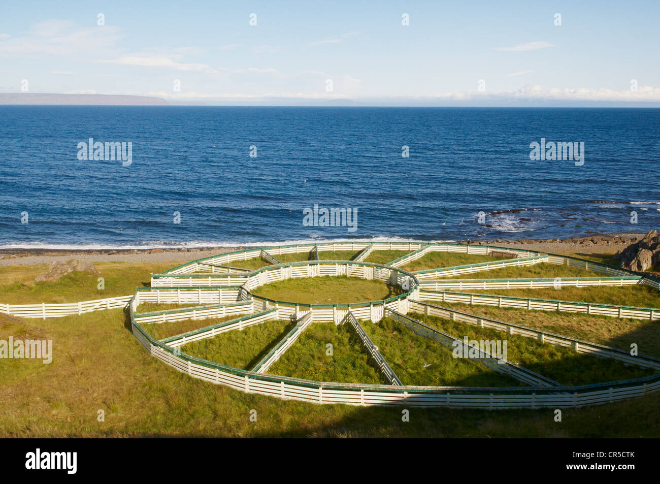 Iceland, Westfjords, Vestfirdir Region, Isafjord, fold for sheeps Stock ...