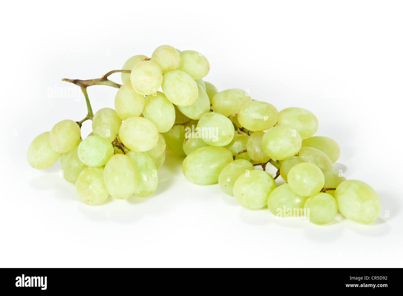 Grapes isolated on white background Stock Photo - Alamy