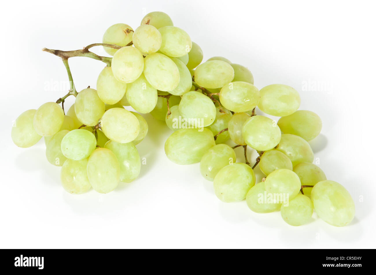 Grapes isolated on white background Stock Photo - Alamy