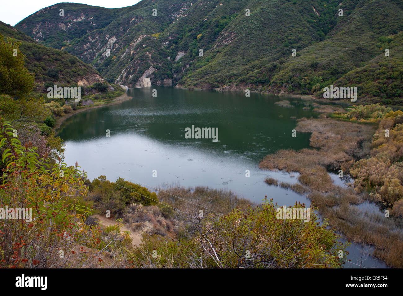 Matilija Lake which is filled mostly by sand. The dam is scheduled for ...