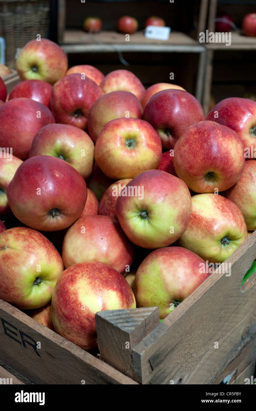 Organic apples hi-res stock photography and images - Alamy