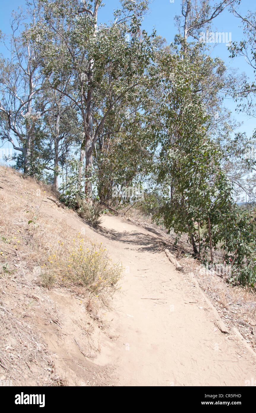 Hiking path in a desert in California,USA Stock Photo - Alamy