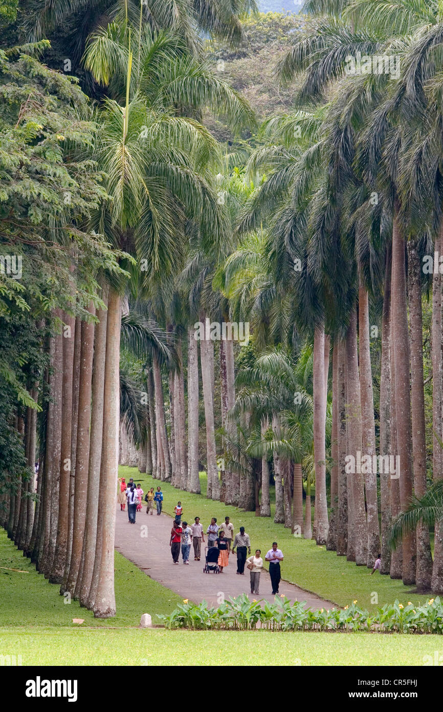 Royal botanic garden peradeniya hi-res stock photography and images - Alamy