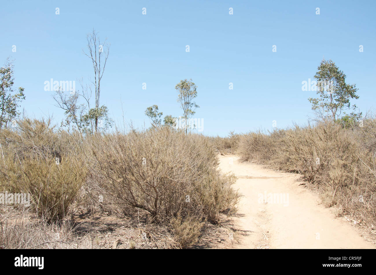 Hiking path in a desert in California,USA Stock Photo - Alamy