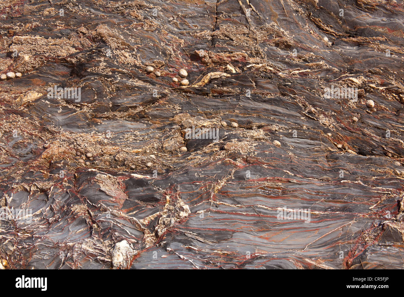 Rocks at Hope cove, Devon, England, United Kingdom Stock Photo - Alamy