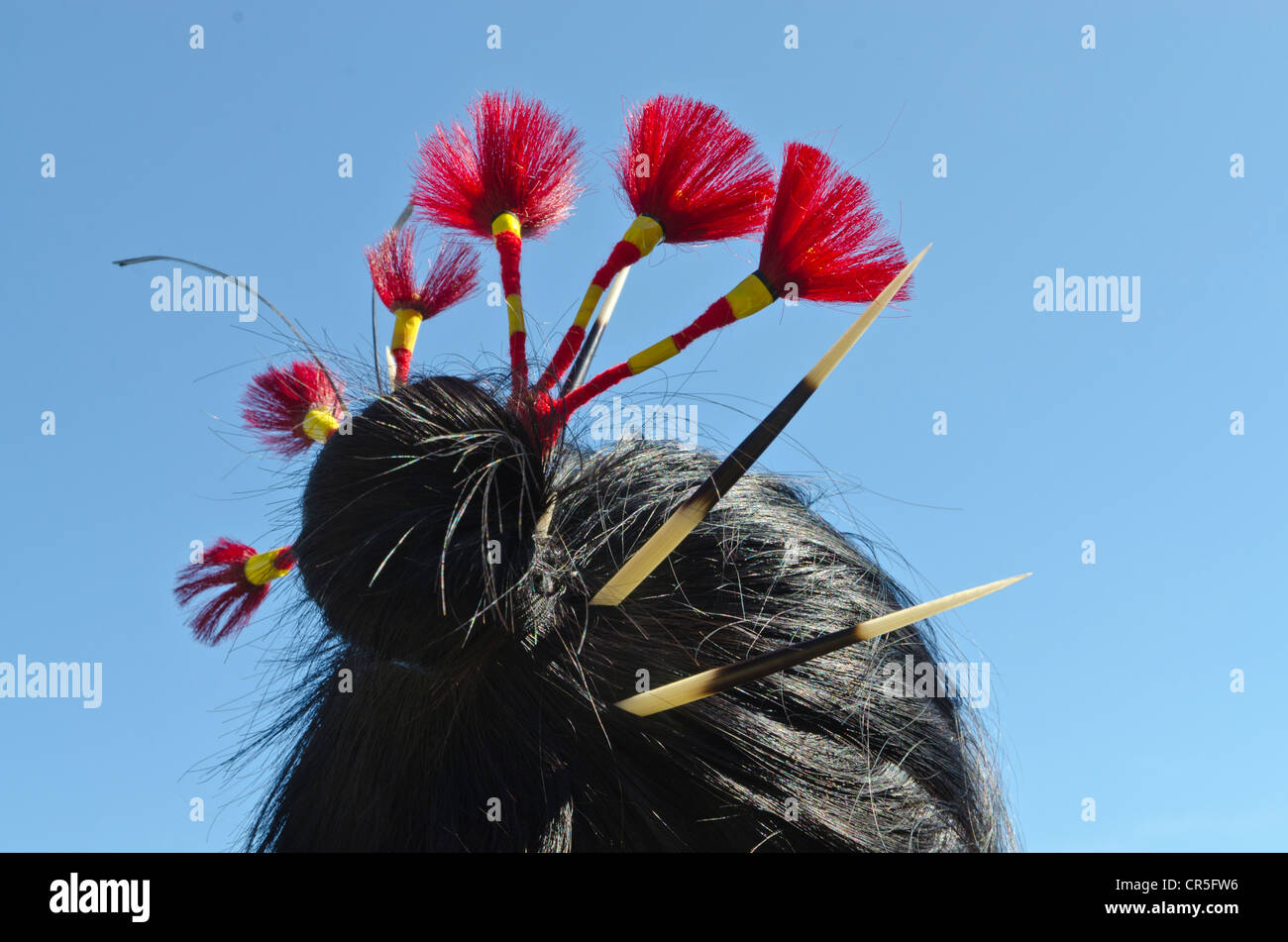 Lotha hi-res stock photography and images - Alamy