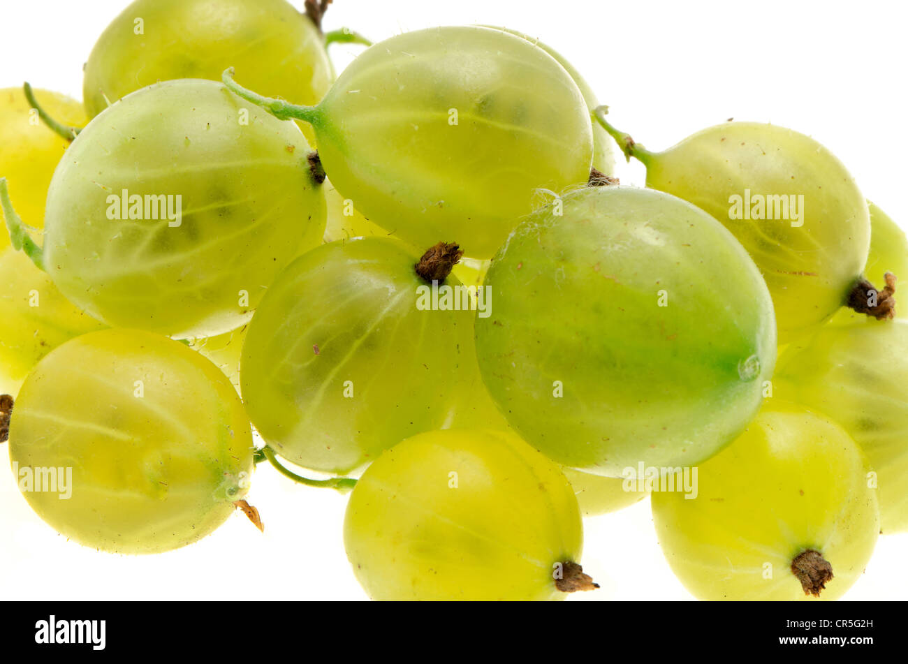 Fresh gooseberries isolated on a white background Stock Photo - Alamy