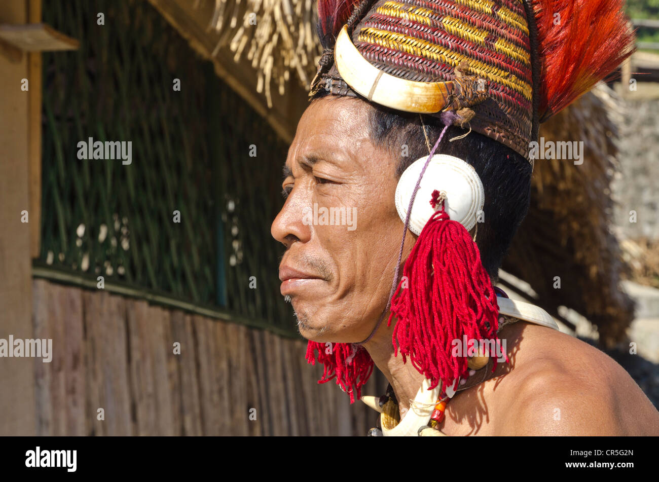 Phom warrior in full gear at the annual Hornbill Festival in Kohima ...