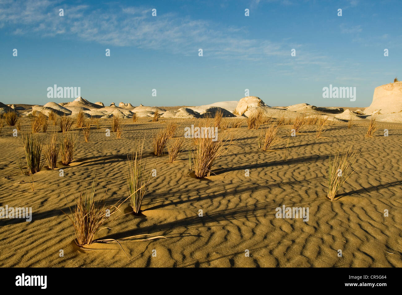 Egypt, Eastern Sahara, white desert Stock Photo - Alamy