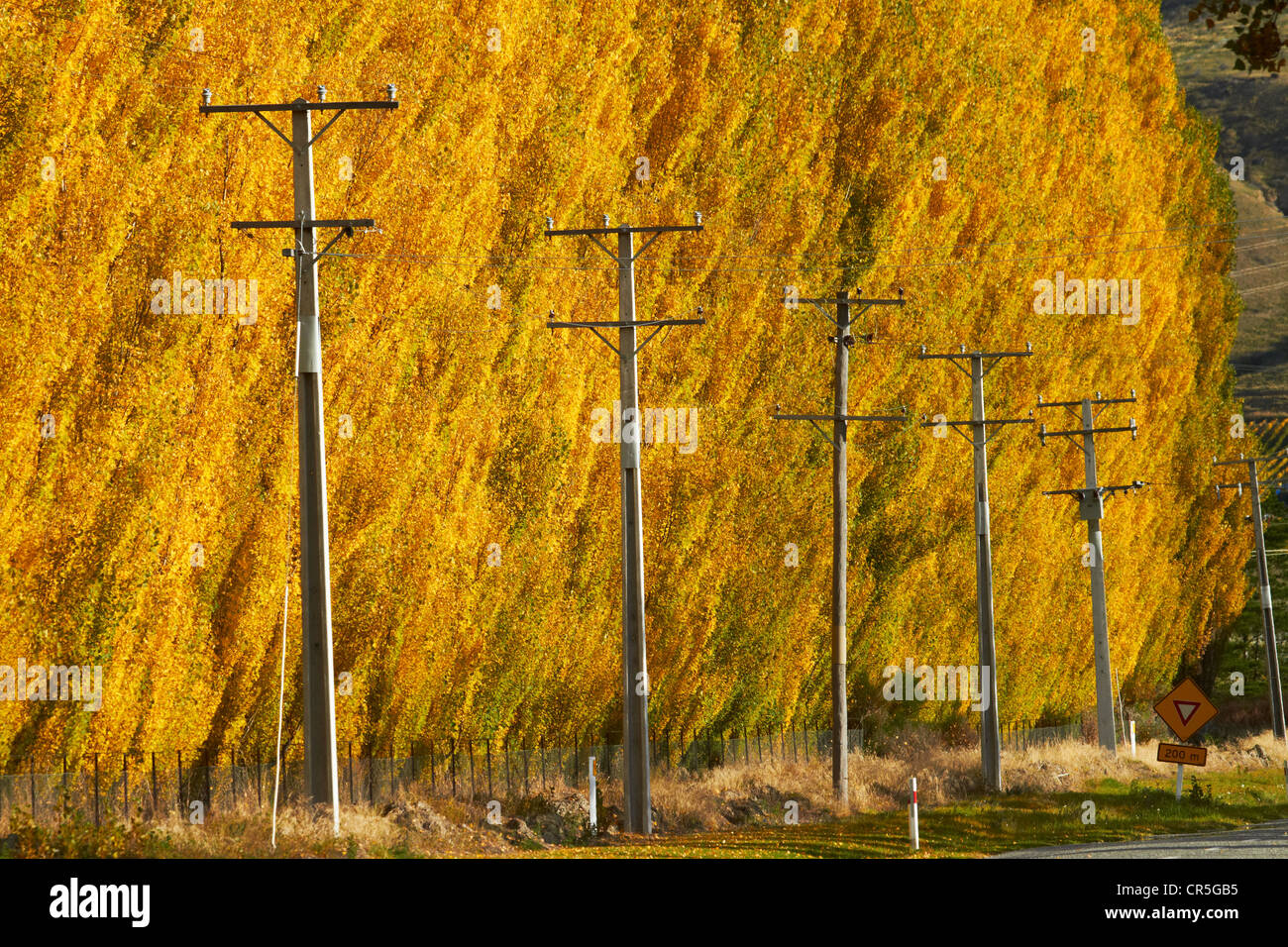 Power poles hi-res stock photography and images - Alamy