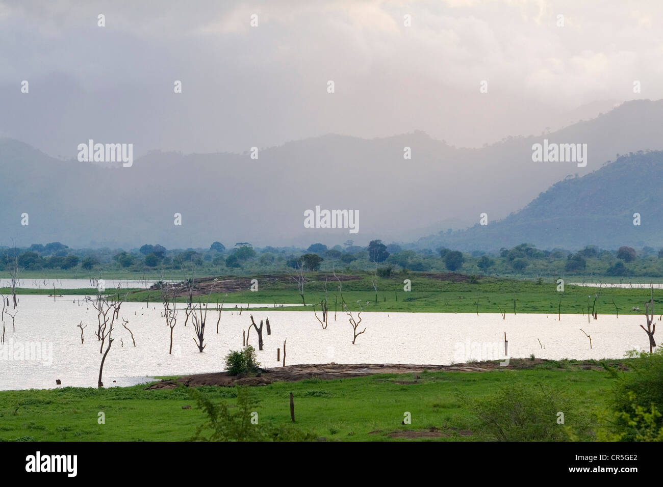 Uda walawe reservoir hi-res stock photography and images - Alamy