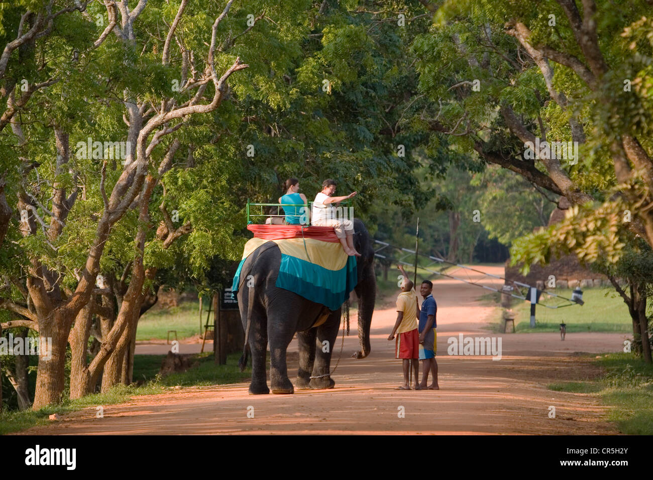 Elephant ride around Sigiriya Rock, Sigiriya, Central, Sri Lanka Stock ...