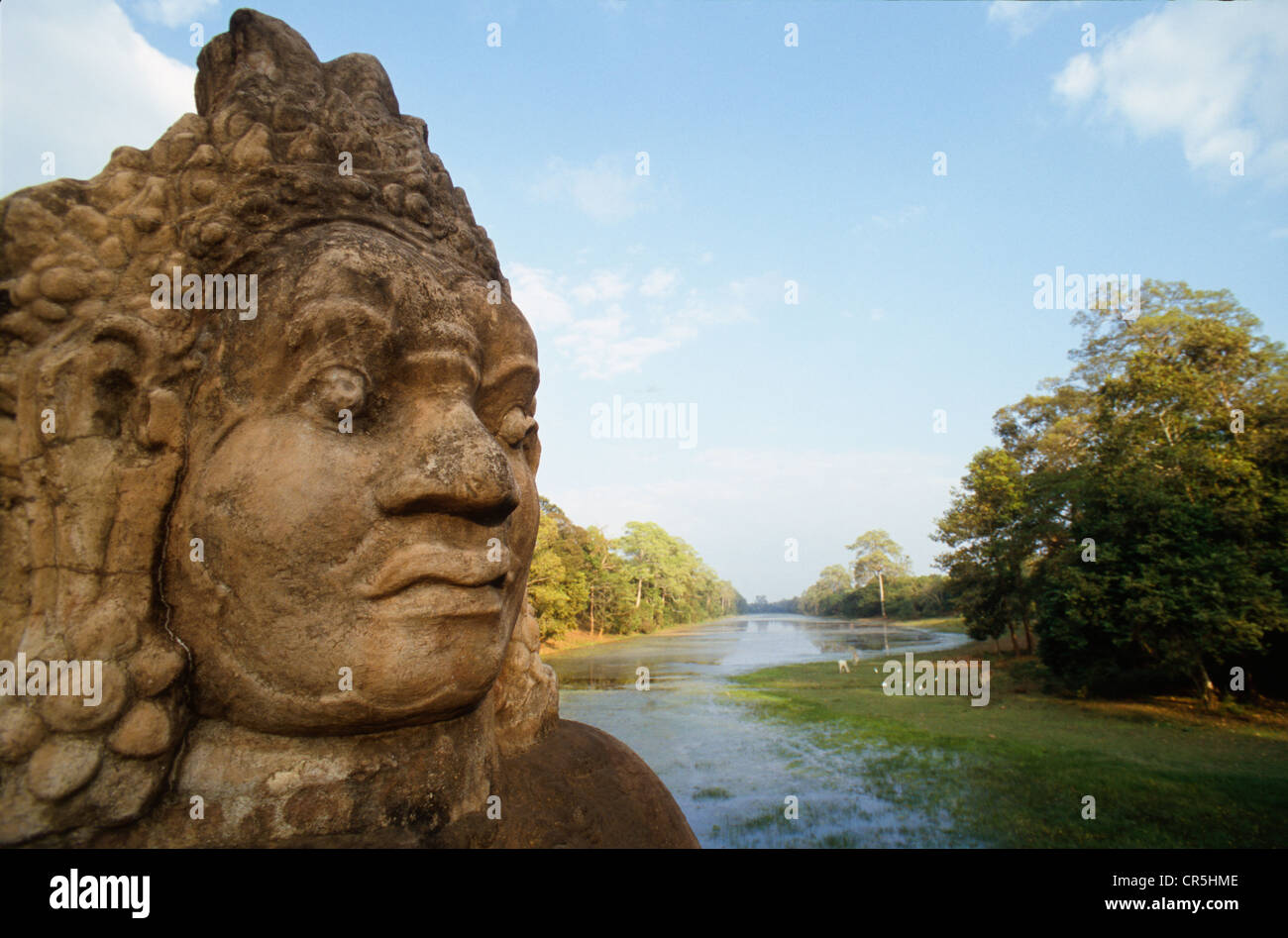 Old head stone hi-res stock photography and images - Alamy