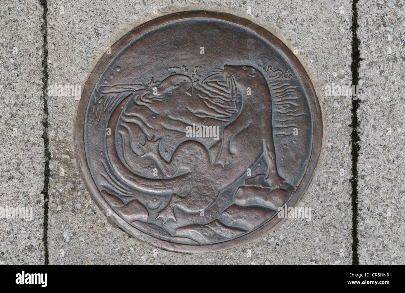 Detail of Celtic Gateway Bridge, Holyhead, Isle of Anglesey, Wales, UK ...