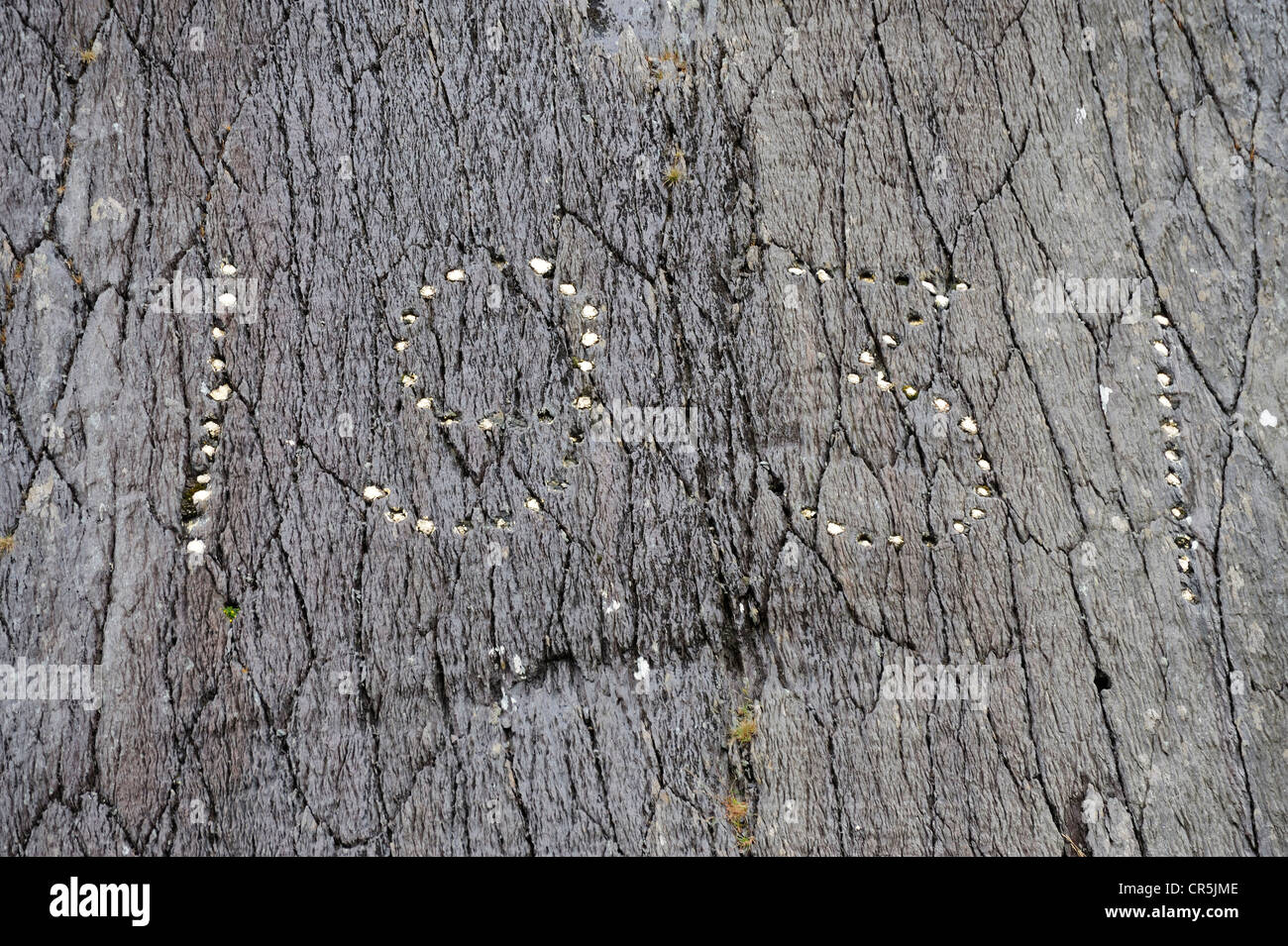 Date Healy Pass road was completed and the year of death of Tim Healy ...