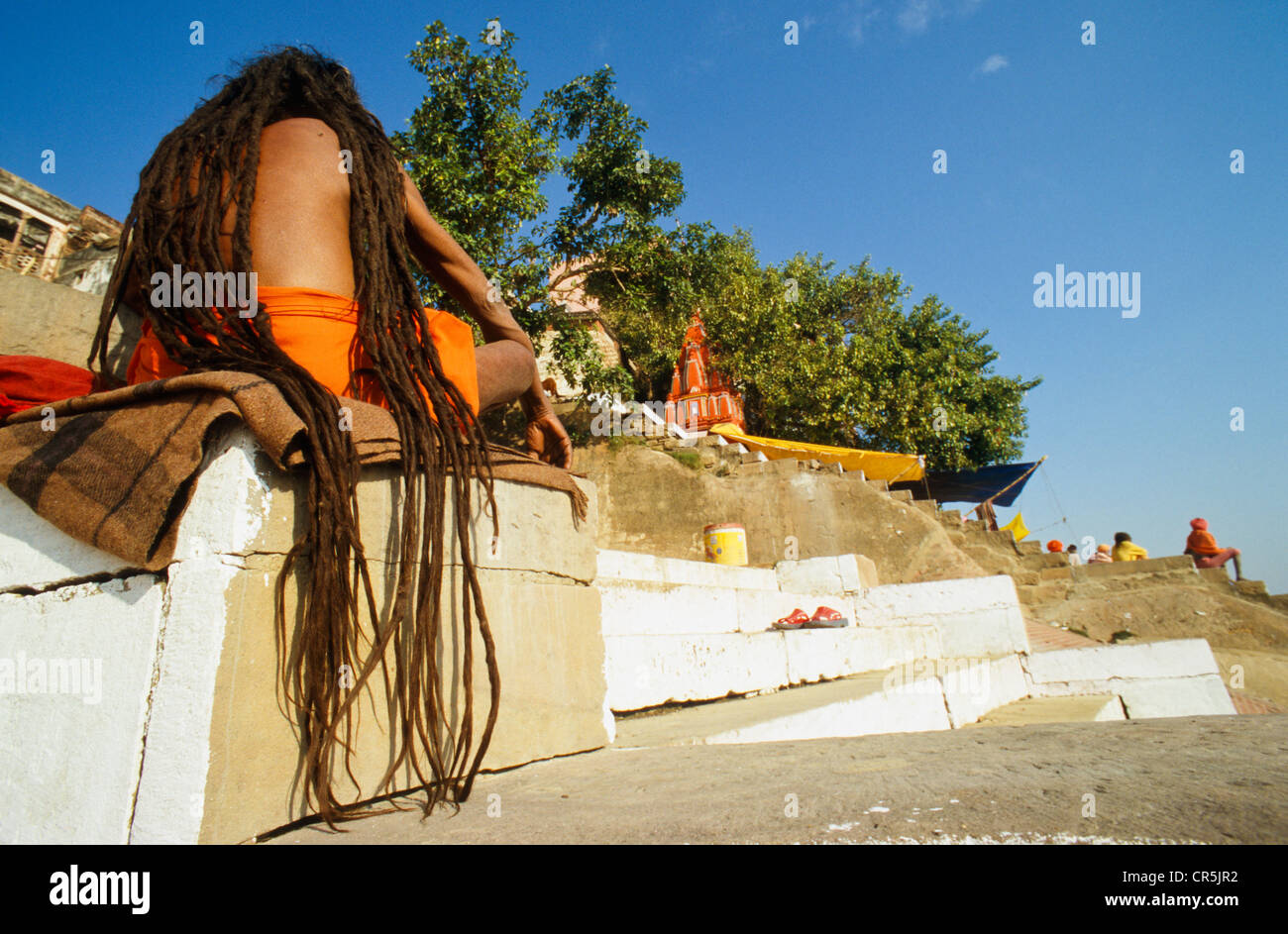 Long dreadlocks, sign of many Shiva sadhus, Varanasi, Uttar Pradesh ...