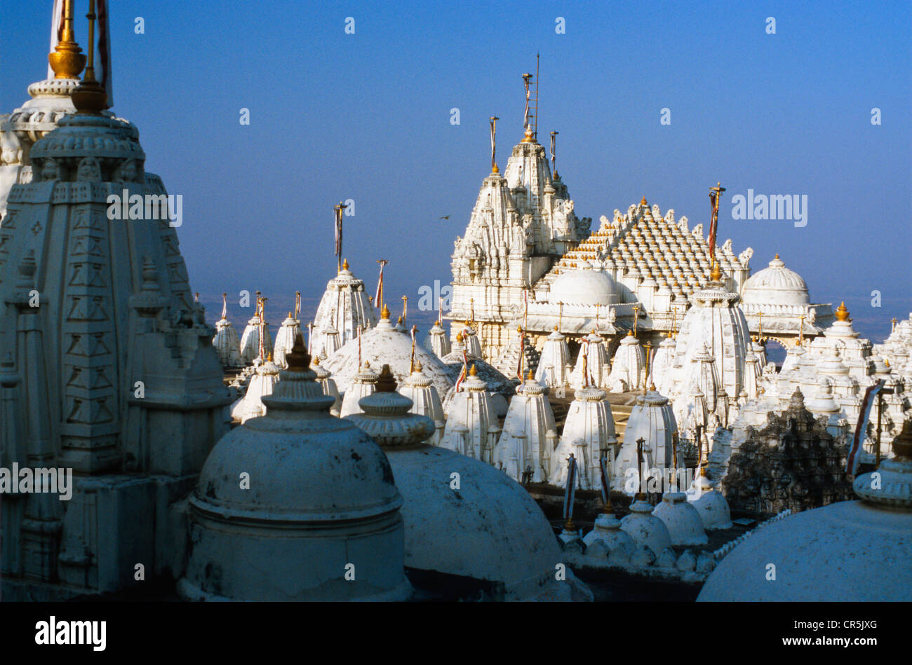 Shatrunjaya, Asias most holy place for Jains with more than 850 temples ...
