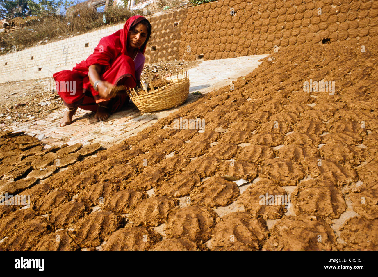 Drying Cow Dung In India High Resolution Stock Photography and Images ...