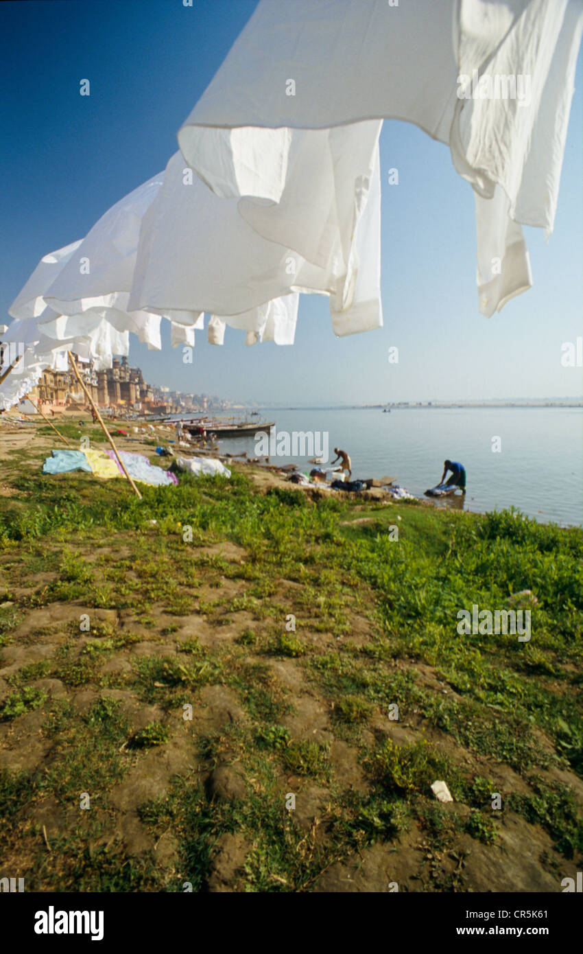 Laundry washed by Dhobi wallahs or laundry men at the banks of river ...