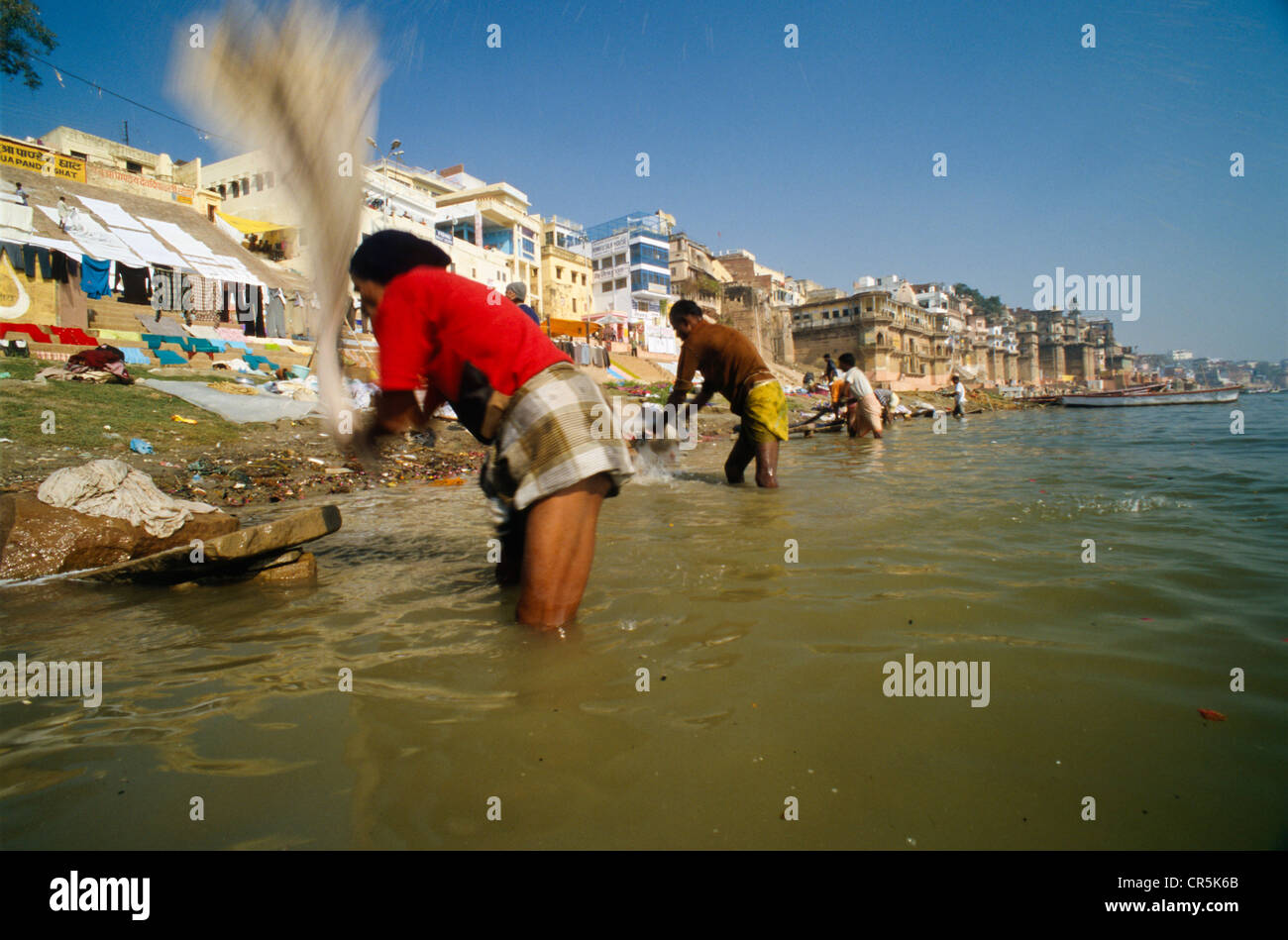 Dhobi wallahs or laundry men cleaning laundry in the river, Varanasi ...